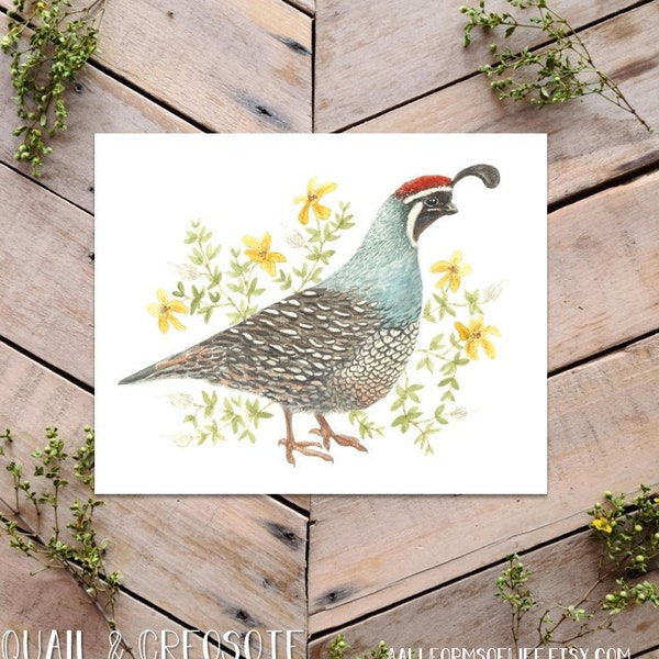 Quail Art Print - Etsy