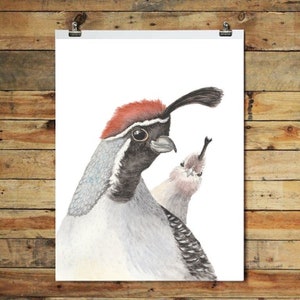 Quail Complexity Art Print, Male and Female Gambel's Quails, Watercolor ...