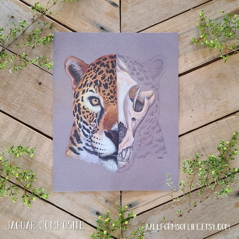 Wild Cat Skull - Etsy