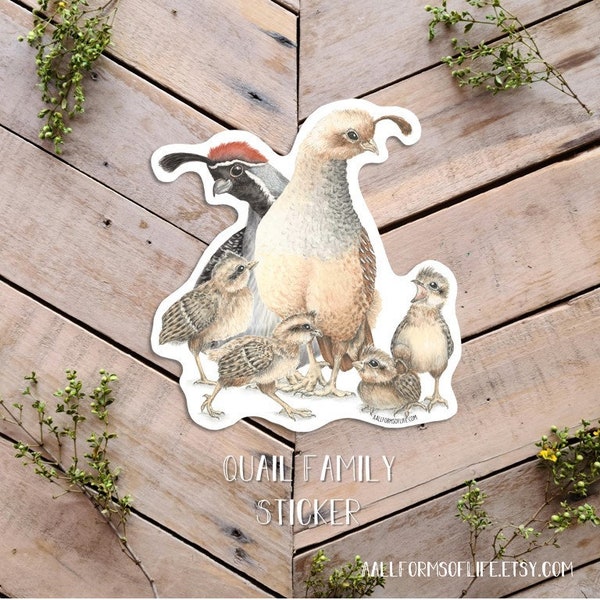 Quail Family - Etsy