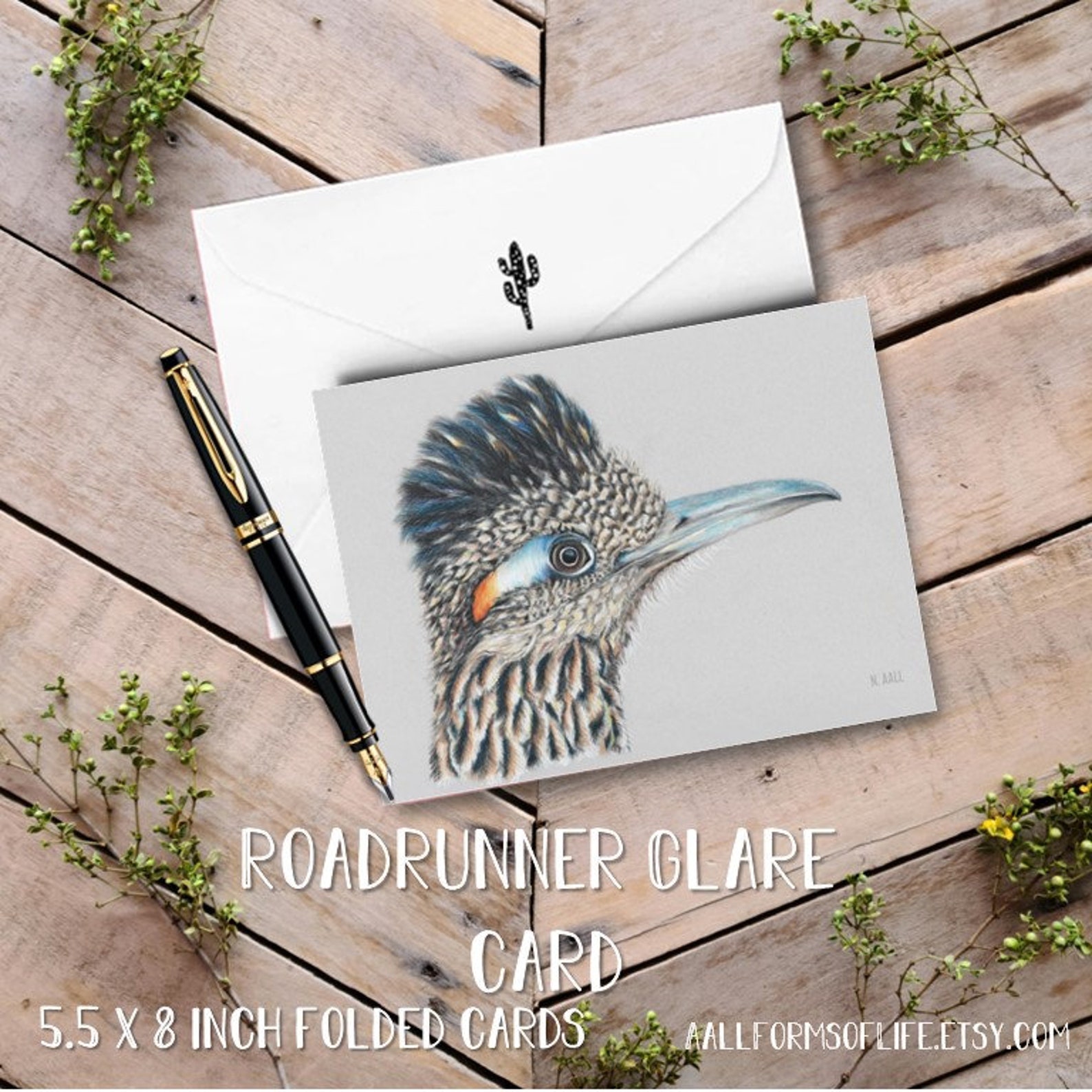 Roadrunner Card Pack, Desert Bird Cards, Roadrunner Sticker and ...