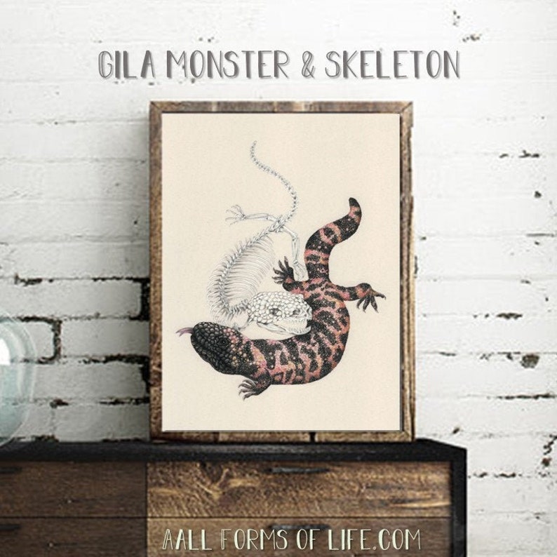 Gila Monster Lizard & Skeleton Scientific Illustration gila | Etsy