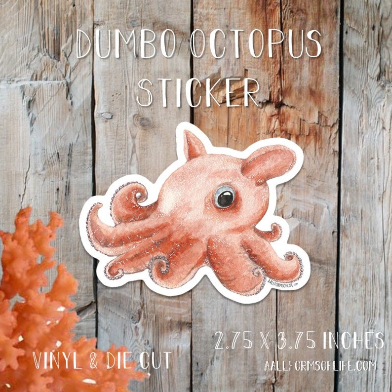 Octopus Sticker Scientific Illustration Blue Ringed Octopus | Etsy