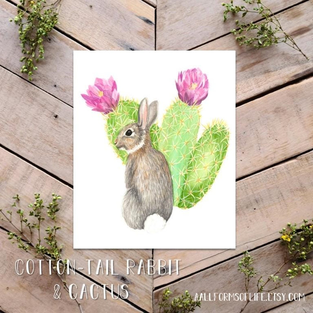 Cottontail Rabbit Art Print, Rabbit and Hedgehog Cactus Illustration ...