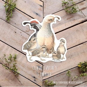 Quail Family Art Print, Gambels Quail and Baby Chicks, Family of Birds ...