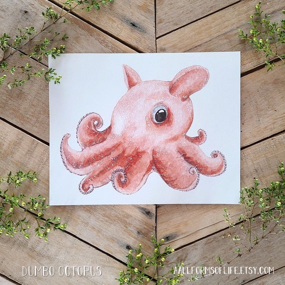 Dumbo Octopus Art Print Cute Octopus Illustration Octopus | Etsy
