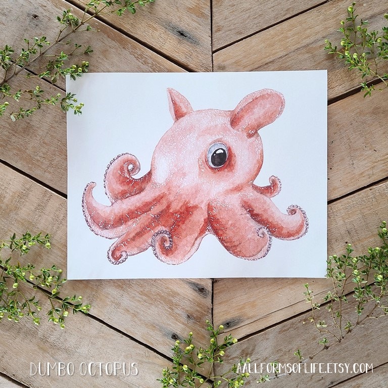 Dumbo Octopus Art Print Cute Octopus Illustration Octopus | Etsy