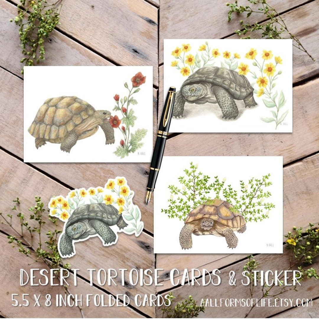 Desert Tortoise Card Pack With Sticker, Turtle Cards, Desert Turtle Art ...