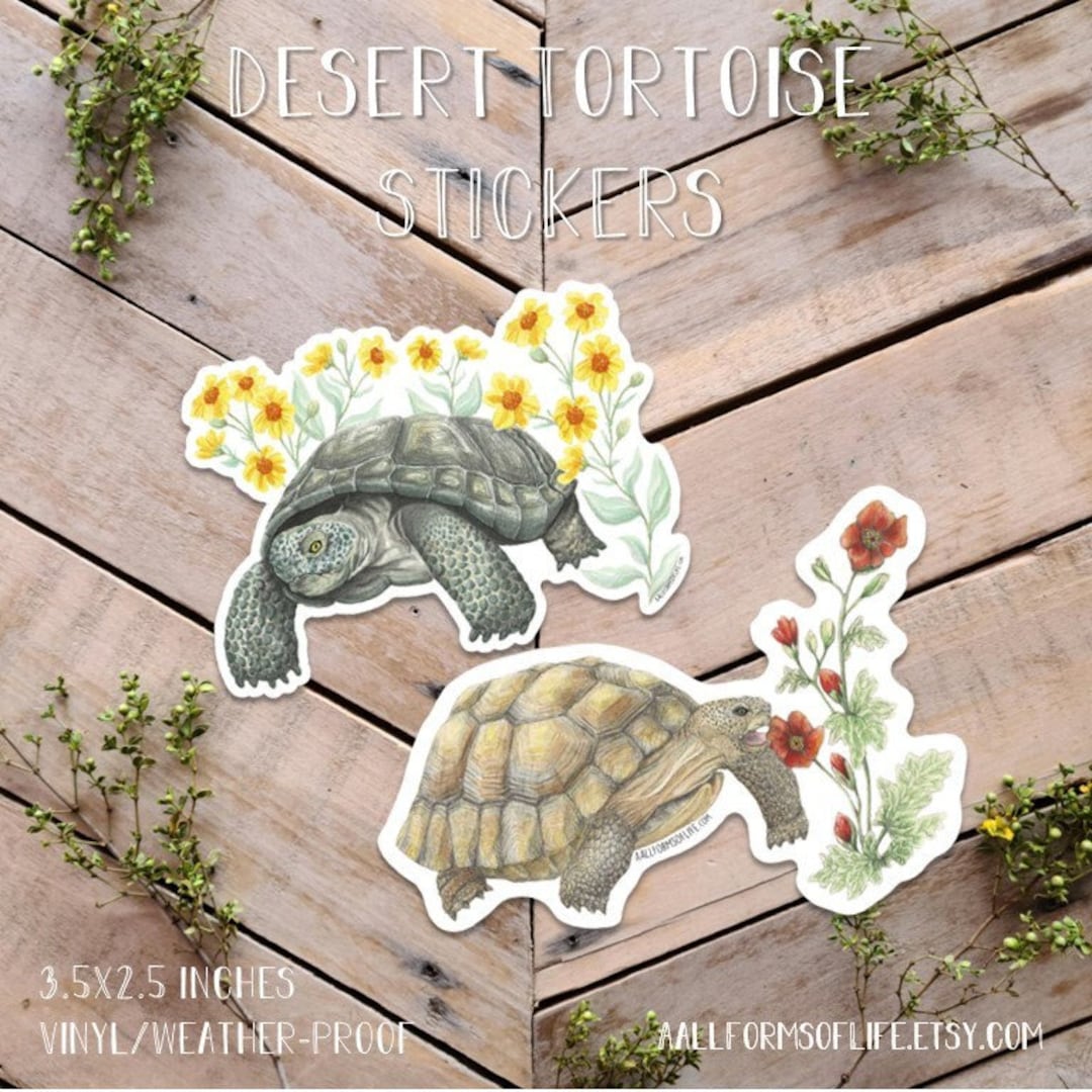 Desert Tortoise Sticker, Turtle Sticker, Tortoise Art, Sonoran Tortoise ...