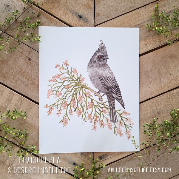 Black Bird - Etsy