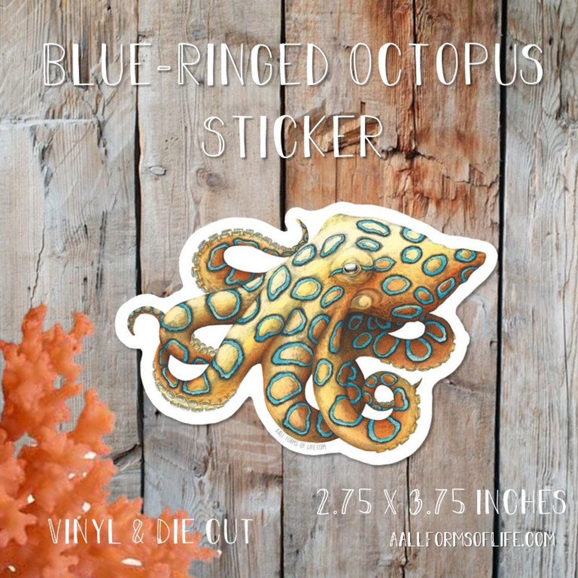 Octopus Sticker Scientific Illustration Blue Ringed Octopus | Etsy