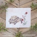 Patient Quail- Scientific Illustration- Quail Family- Funny Desert ...