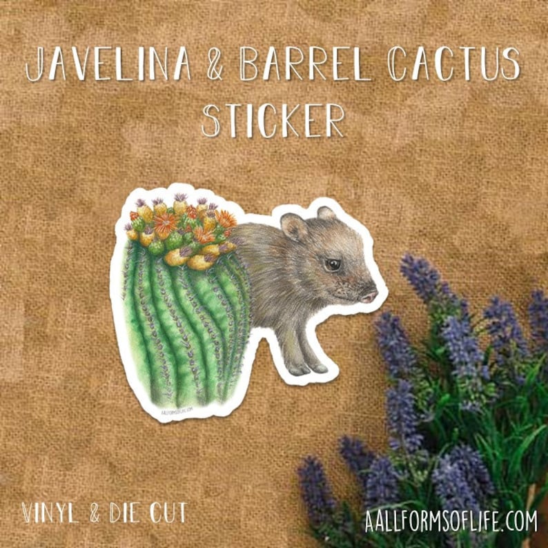Desert Fauna Stickers Animal Stickers Cute Vinyl Critter | Etsy