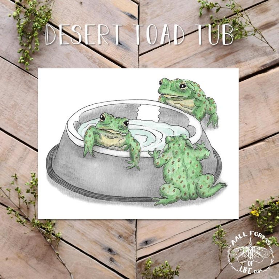 Toad Tub Art Print, Desert Toads in Dog Bowl Art, Funny Toad Print ...