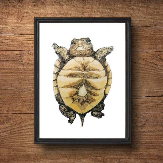 Land Turtle Art