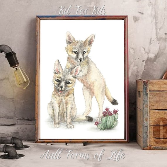 Kit Fox Kits Illustration Art Print Natural Science | Etsy