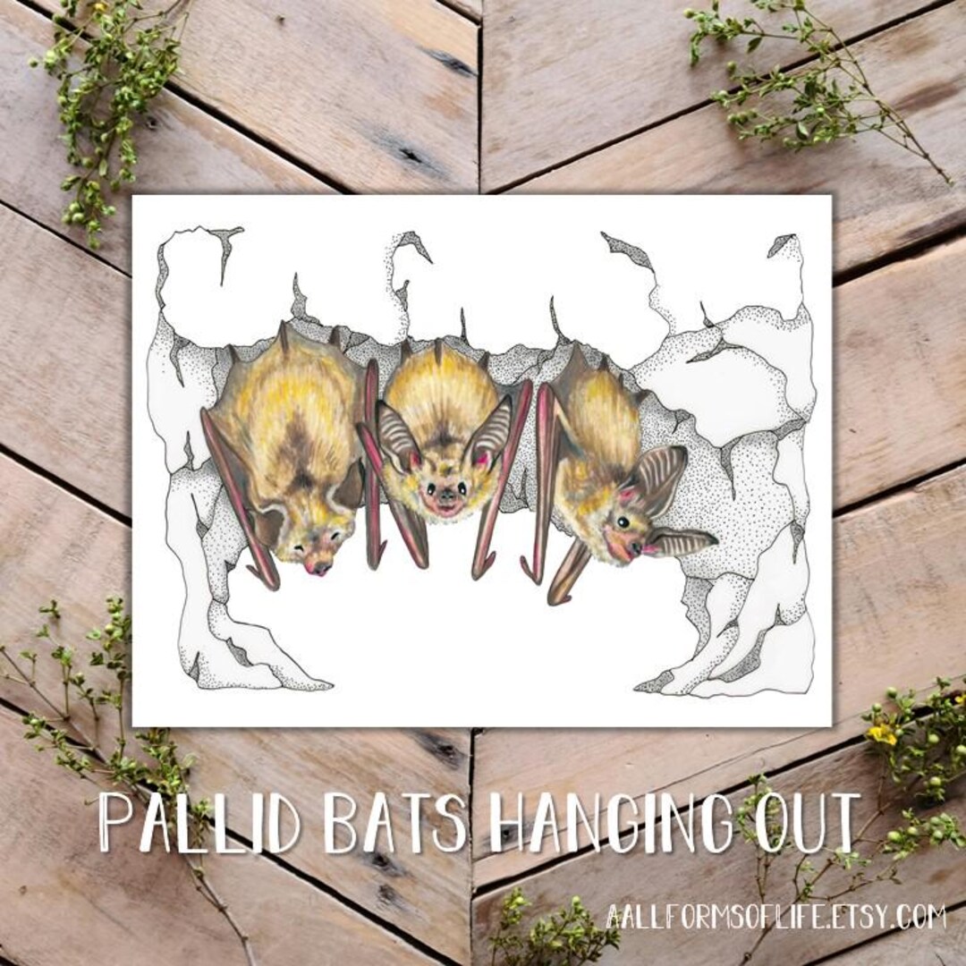 Pallid Bats Art Print, Bat Illustration, Bat Decor, Adorable Pallid ...