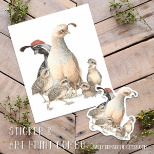 Quail Family Art Print, Gambels Quail and Baby Chicks, Family of Birds ...