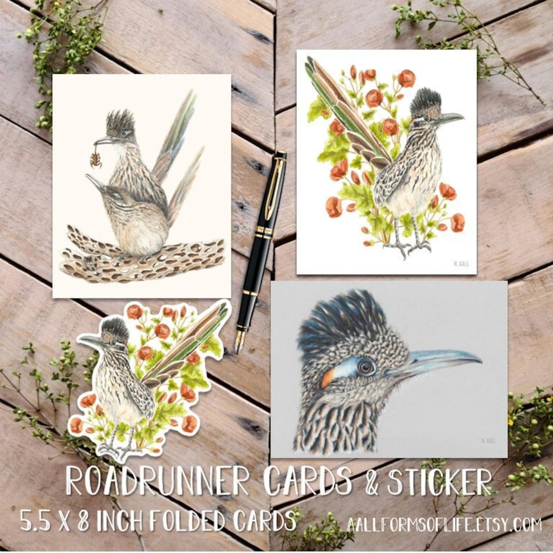 Roadrunner Card Pack, Desert Bird Cards, Roadrunner Sticker and ...