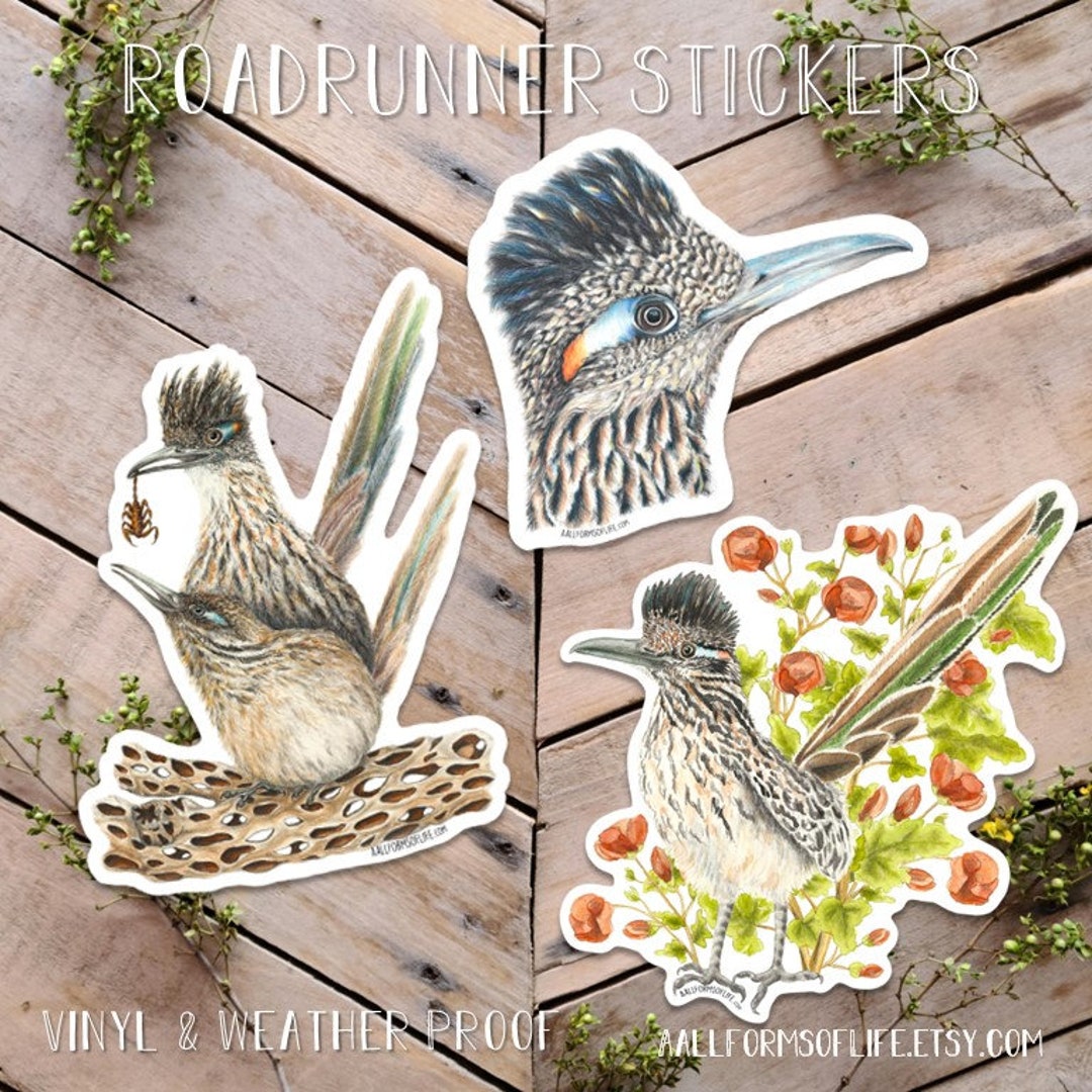 Roadrunner Sticker, Roadrunner Love, Mating Birds, Bird Eye Sticker ...