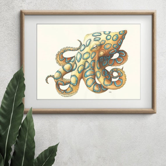 Blue Ringed Octopus Scientific Illustration Watercolor | Etsy
