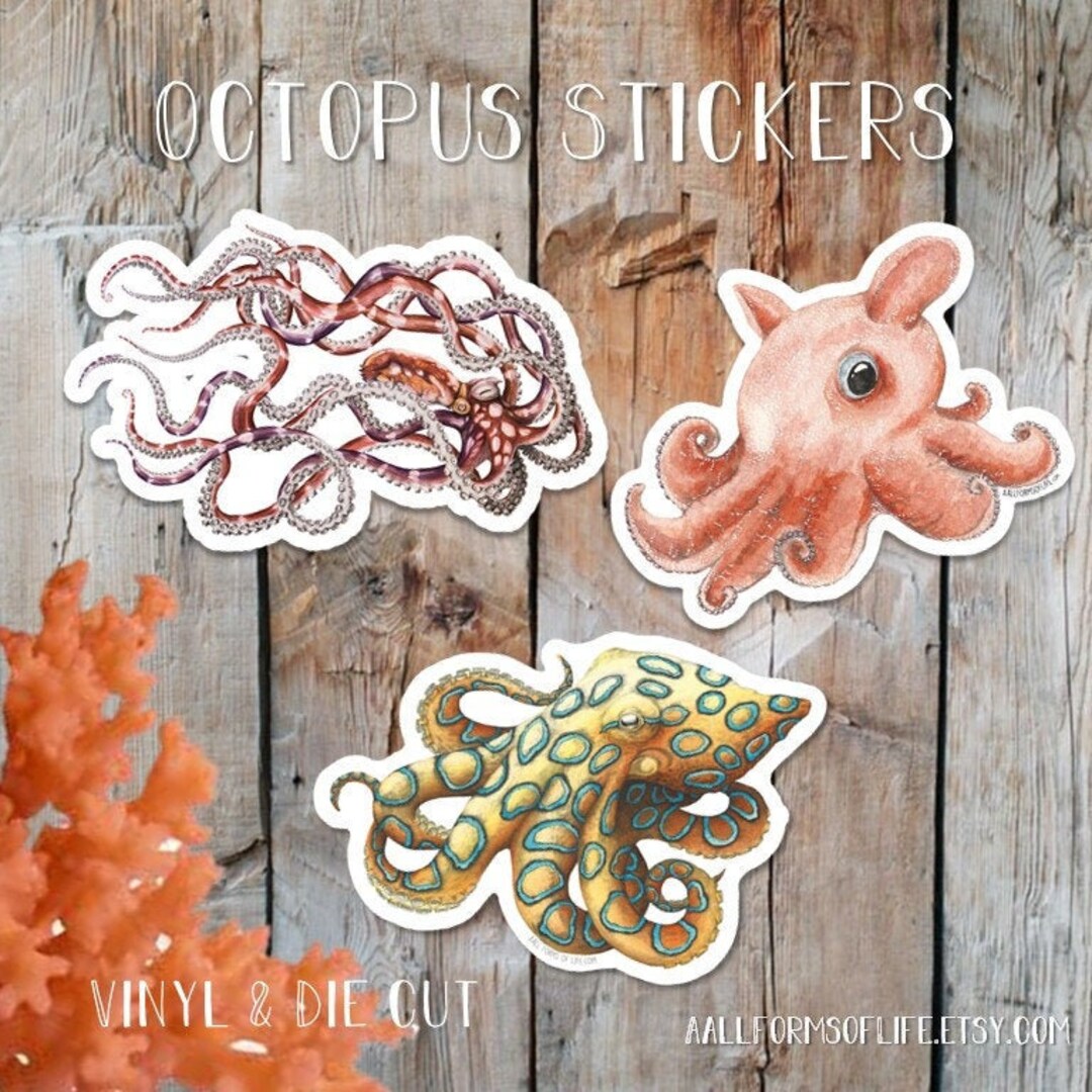 Octopus Sticker Scientific Illustration Blue Ringed Octopus - Etsy