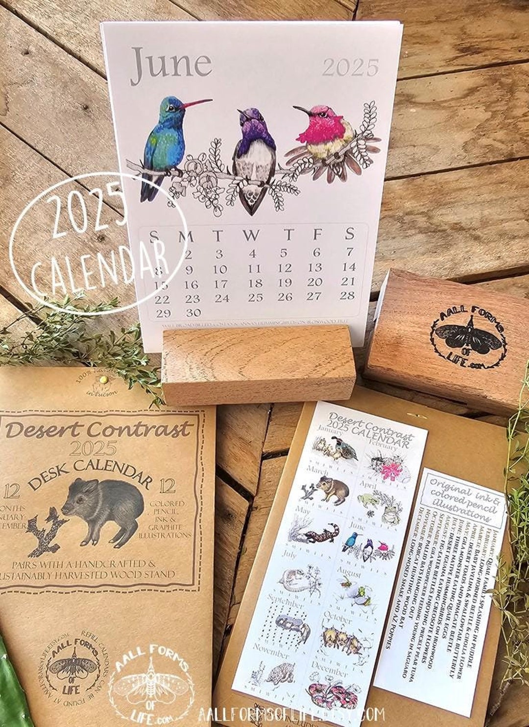 2025 Desert Calendar, Desert Contrast, Science and Art Illustration ...