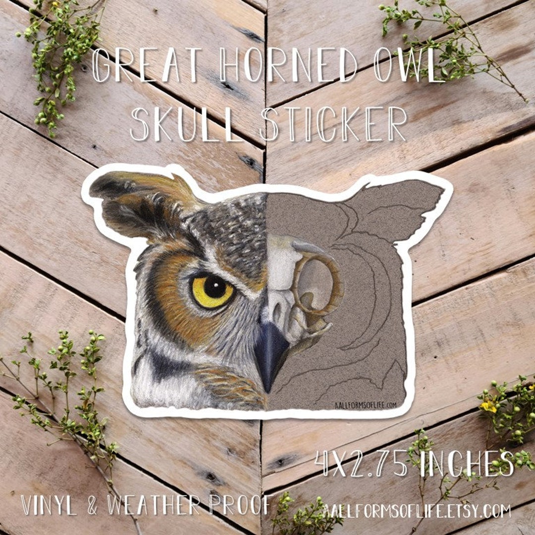 Great Horned Owl Sticker, Wild Anatomy Sticker, Vinyl and Weather Proof ...