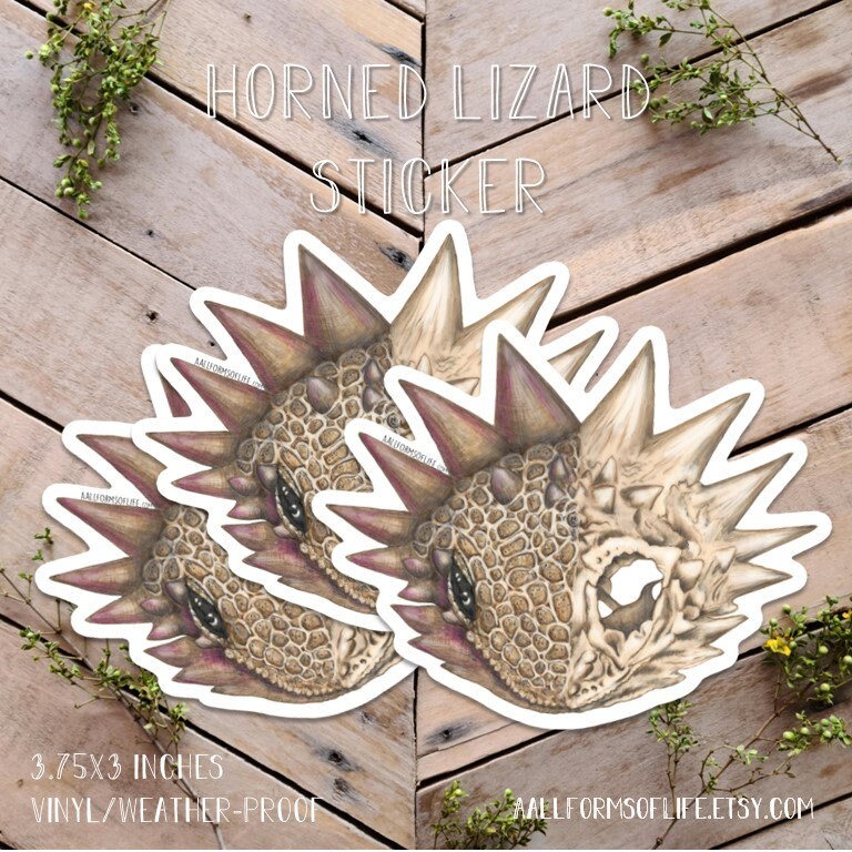 Horned Lizard Sticker Lizard Skull Art Horny Toad Sticker | Etsy