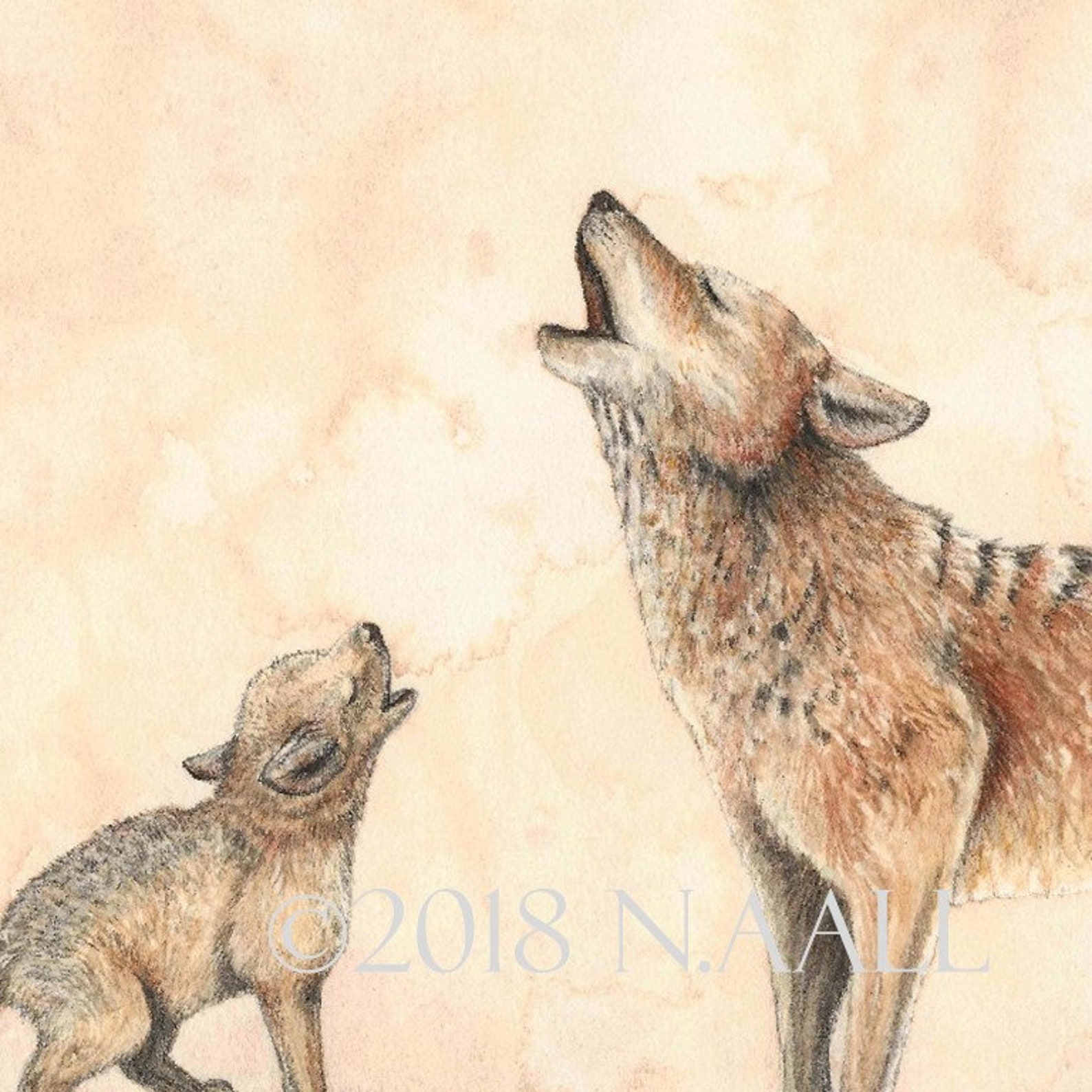 Coyotes Voice Scientific Illustration Art Print, Song Dog Painting ...