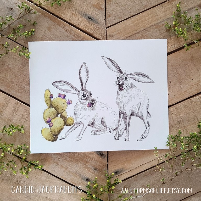 Candid Jackrabbits Art Print Humorful Art Rabbit Comic - Etsy