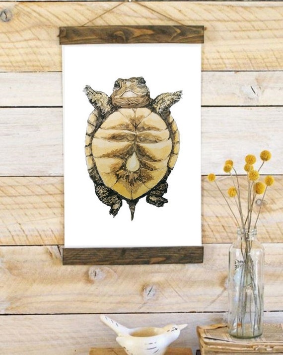 Hatchling Box Turtle Illustration Art Print Watercolor | Etsy