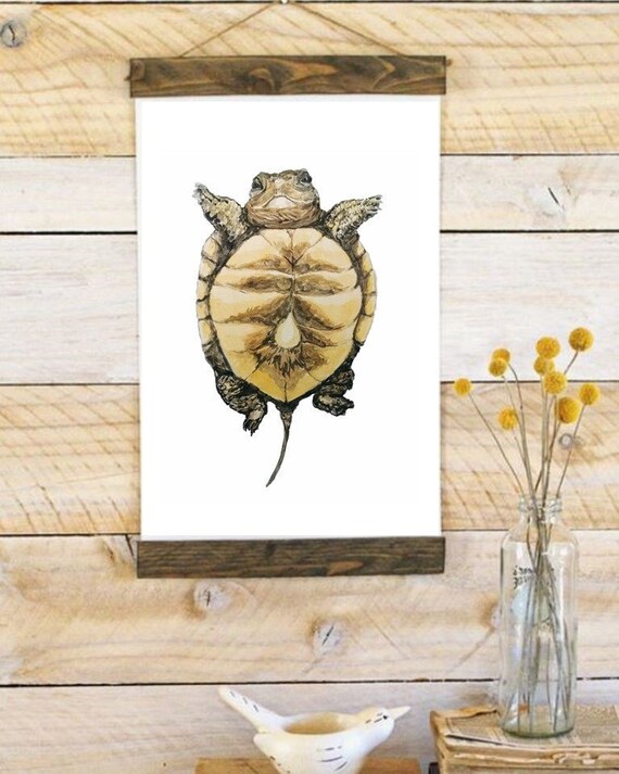 Hatchling Box Turtle Illustration Art Print Watercolor | Etsy