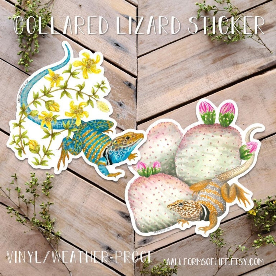 Collared Lizard Sticker, Eastern Collared Lizard, Great Basin Collared ...