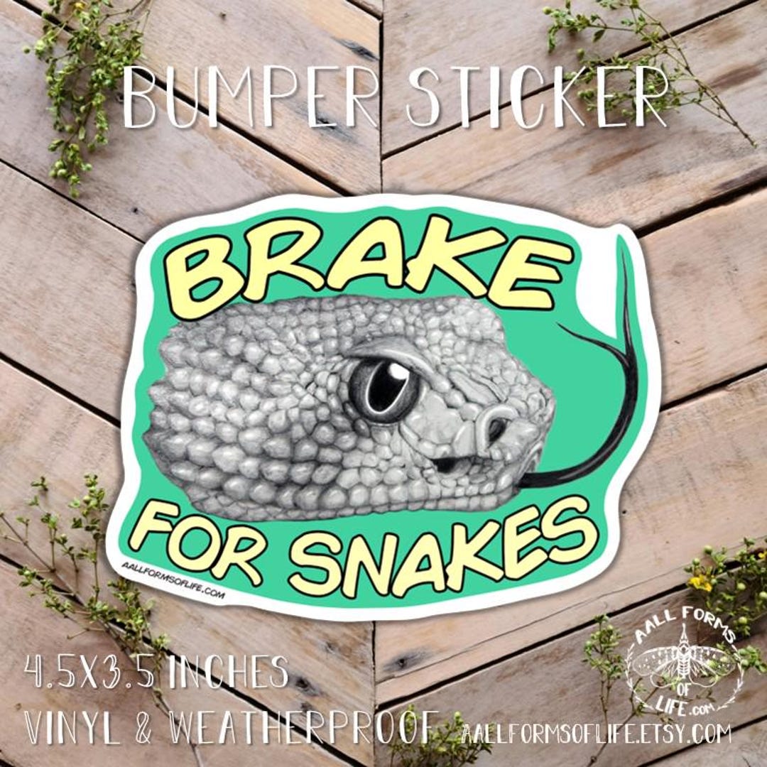 Brake for Snakes Bumper Sticker, Snake Art Sticker, Snake Lover Gift ...