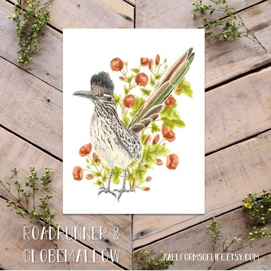 Roadrunner and Globe Mallow Art Print, Sonoran Desert Flora and Fauna ...