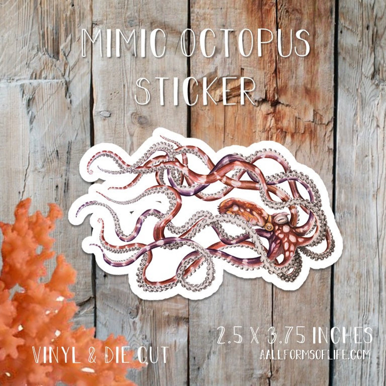 Octopus Sticker Scientific Illustration Blue Ringed Octopus | Etsy