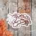 Octopus Sticker Scientific Illustration Blue Ringed Octopus - Etsy