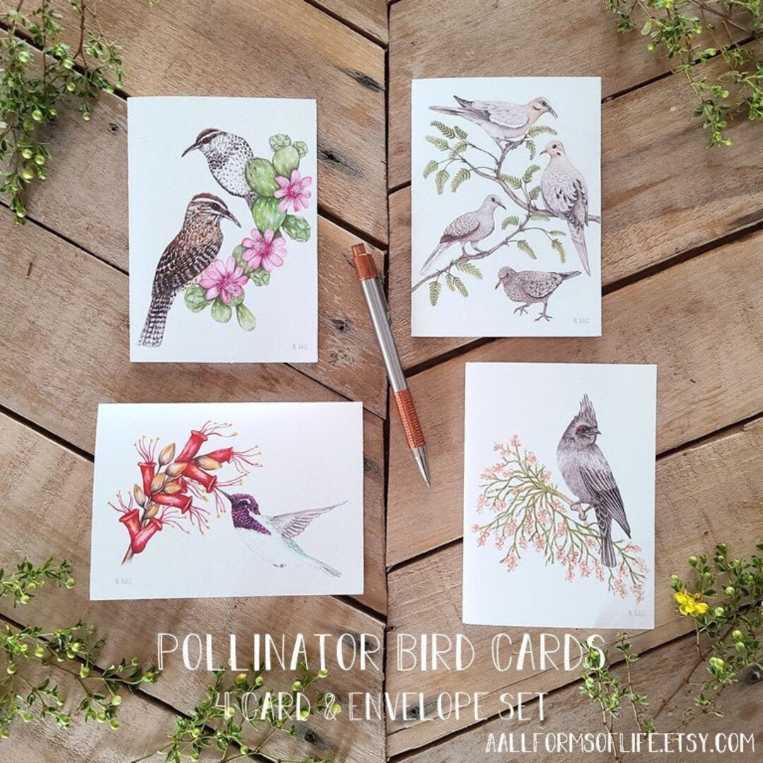 Pollinator Birds Notecards, Desert Pollinator Illustration Cards, Bird ...