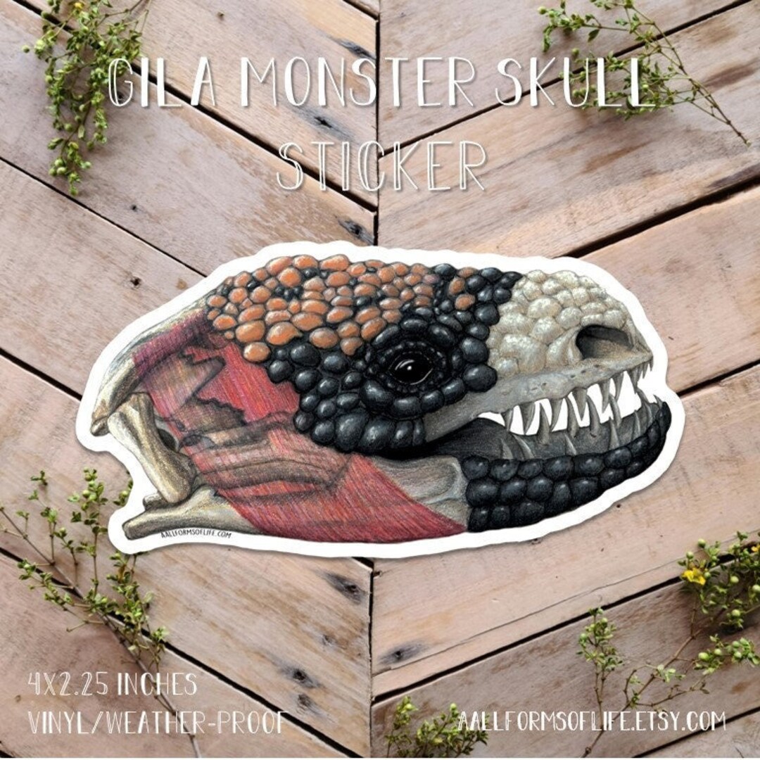 Gila Monster Composite Sticker, Gila Monster Skull Art, Lizard Skull ...