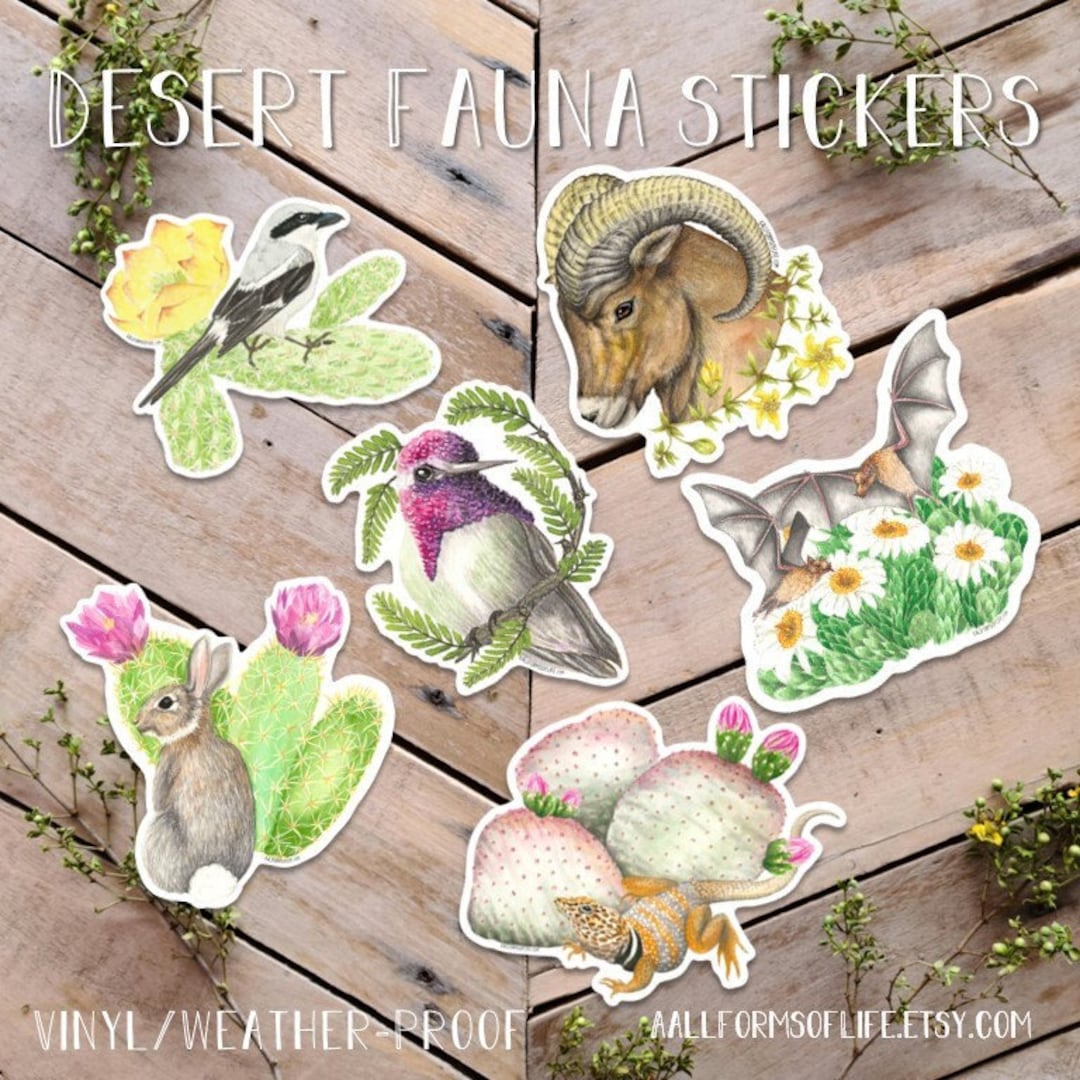 Desert Fauna Sticker Pack, Desert Animal Stickers, Cotton Tail Rabbit ...