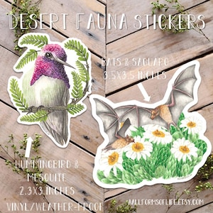 Desert Fauna Sticker Pack, Desert Animal Stickers, Cotton Tail Rabbit ...