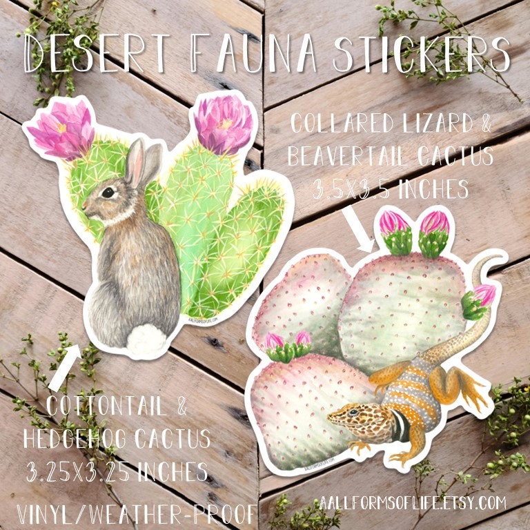 Desert Fauna Sticker Pack, Desert Animal Stickers, Cotton Tail Rabbit ...