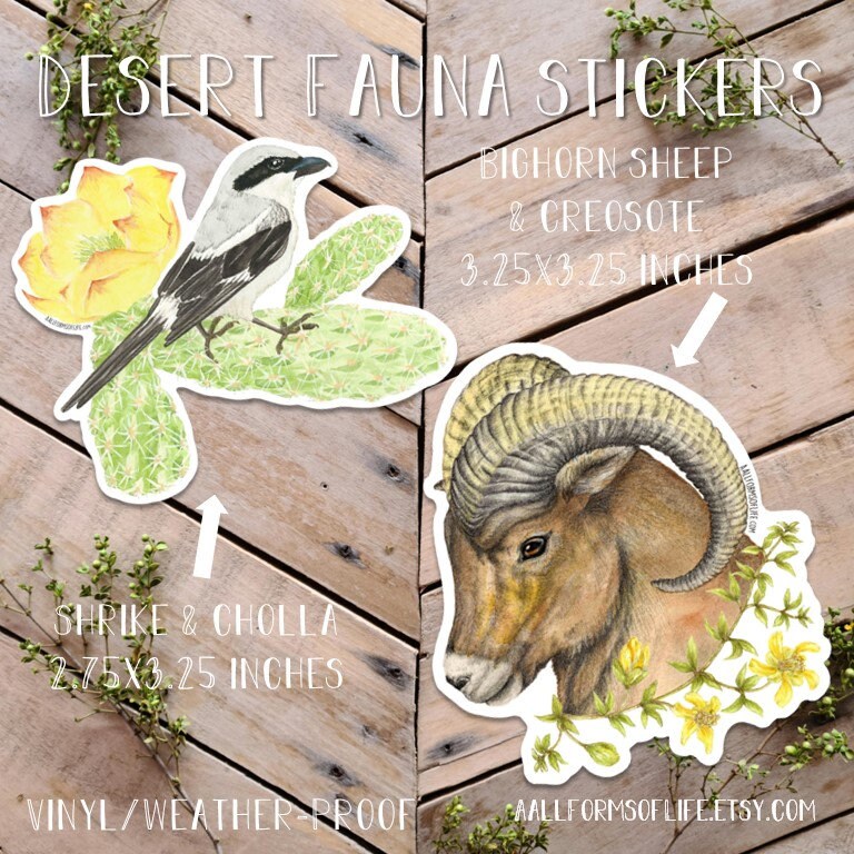 Desert Fauna Sticker Pack, Desert Animal Stickers, Cotton Tail Rabbit ...