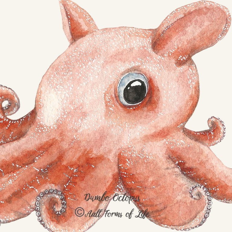 Dumbo Octopus Art Print Cute Octopus Illustration Octopus - Etsy Singapore