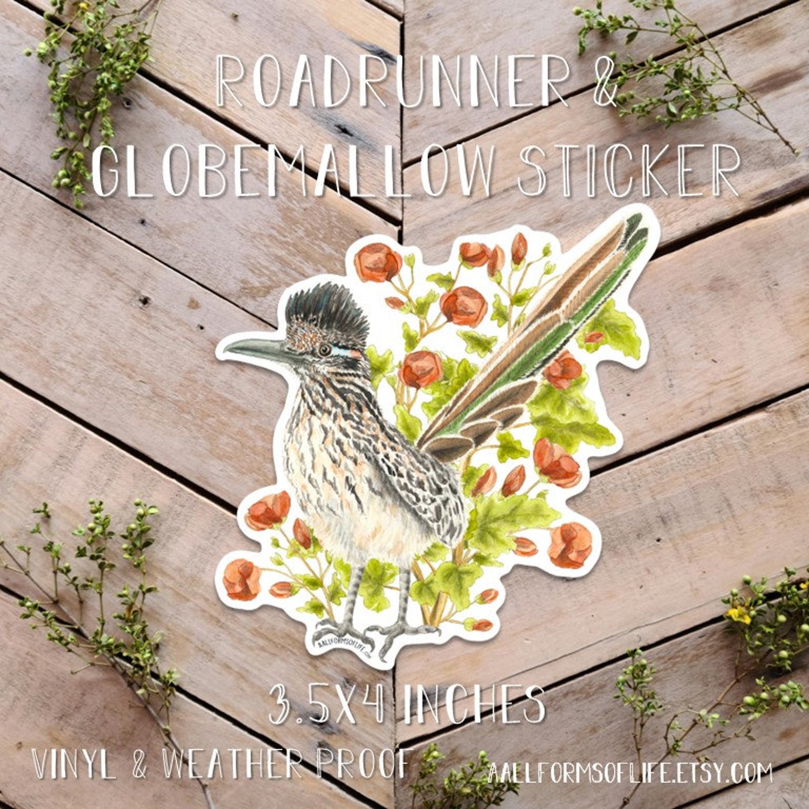 Roadrunner Card Pack, Desert Bird Cards, Roadrunner Sticker and ...