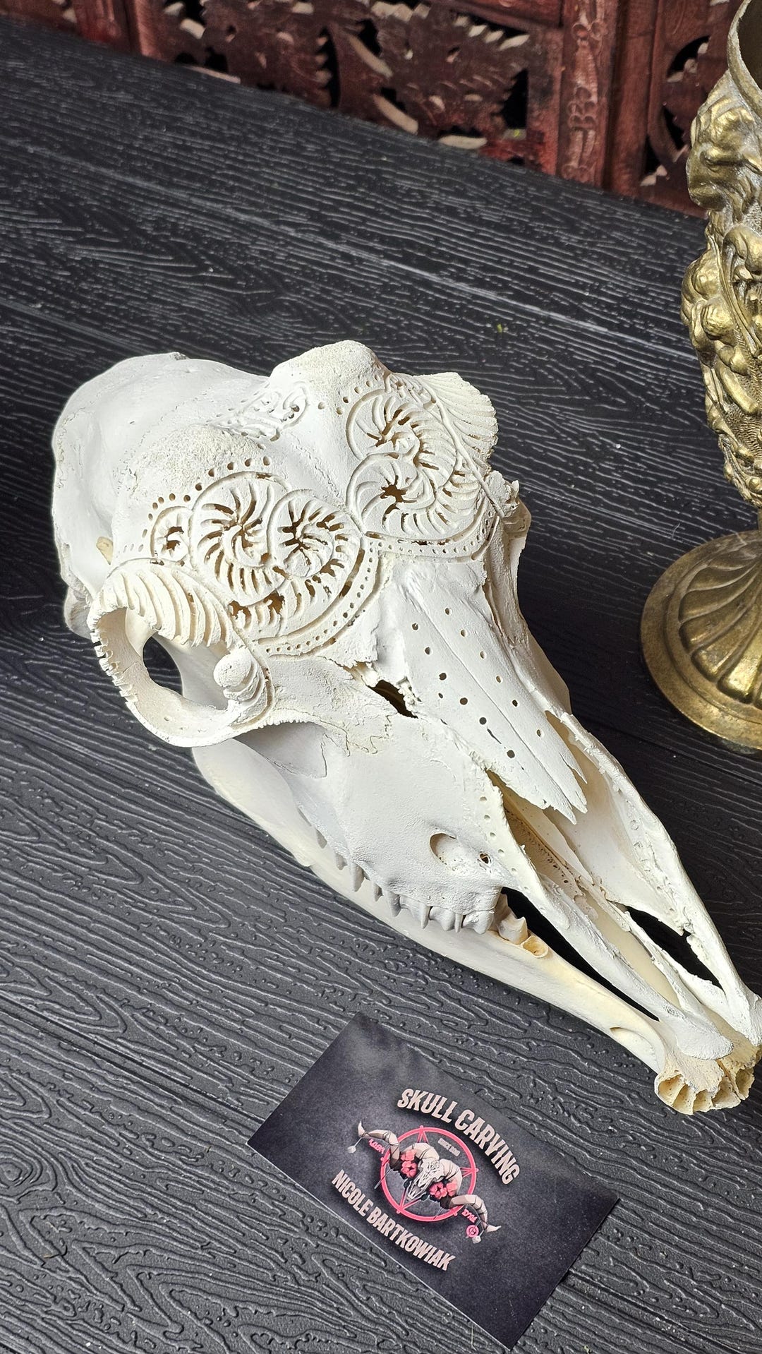 Real Sheep Skull With Engraved Ornaments Filigree Swirly Details Ferns ...