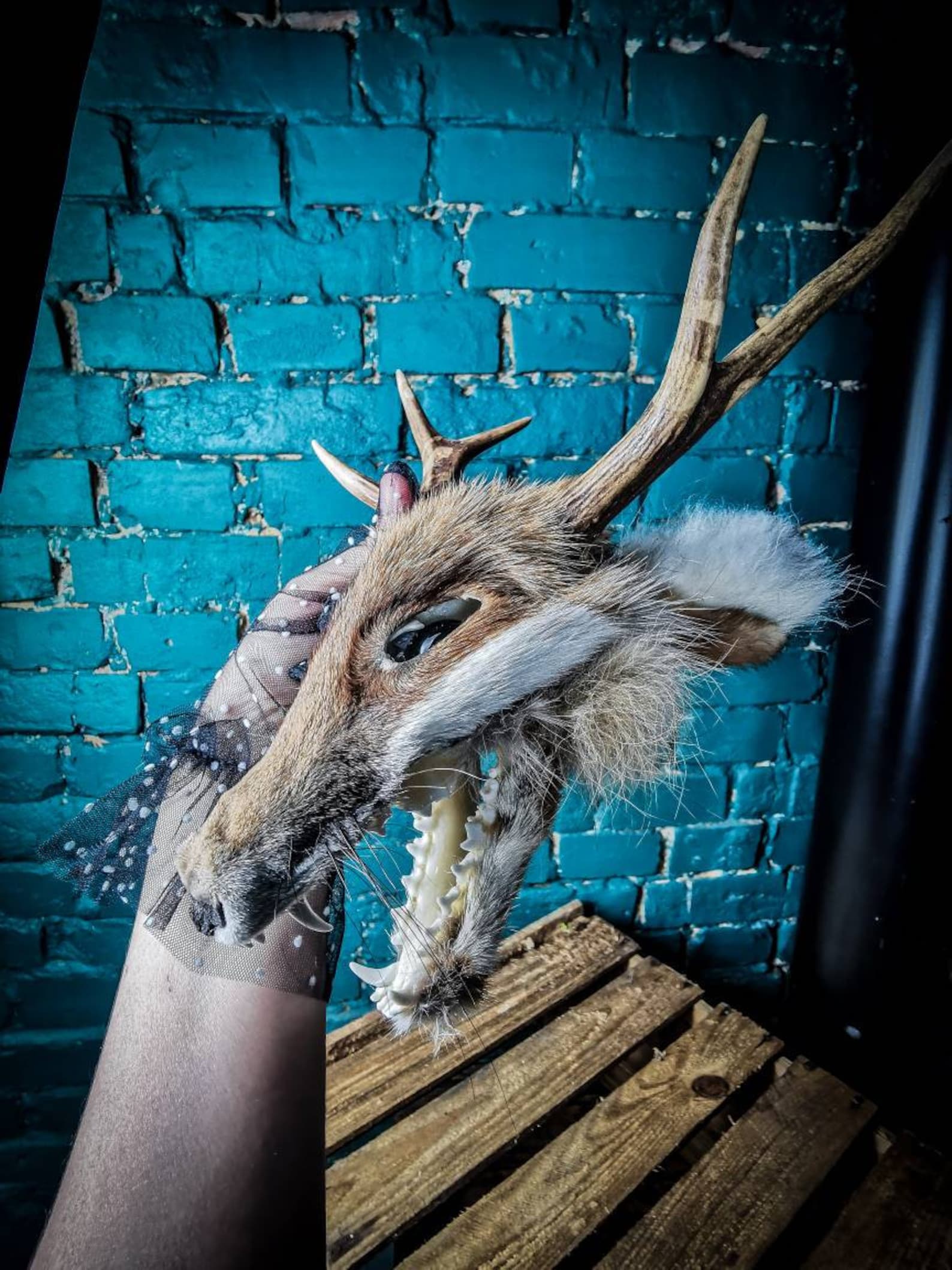 Made to Order Creepy Horned Real Red Fox Skull With Green Eyes Fur Ears ...