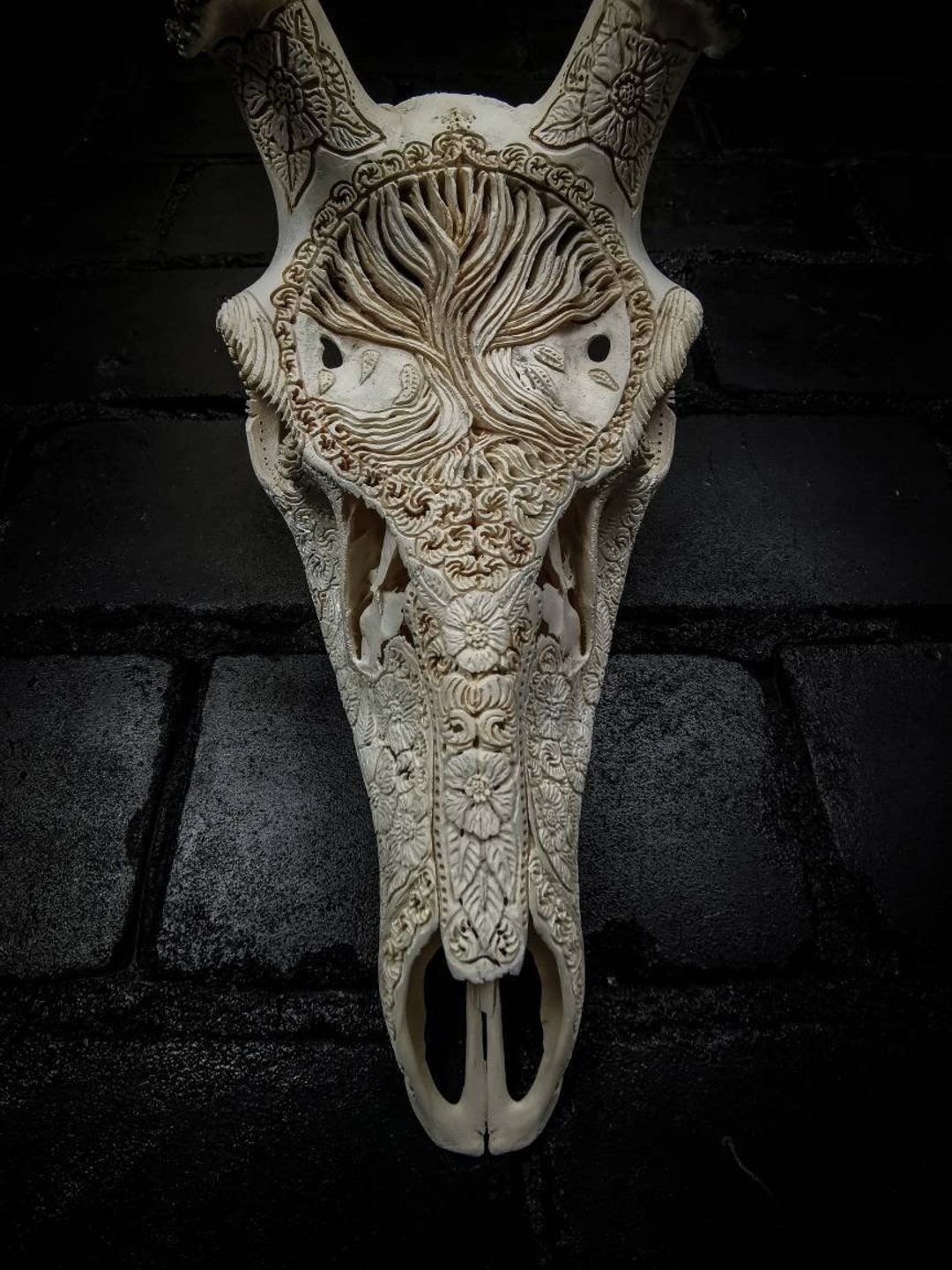 MADE TO ORDER! European Deer Skull With Huge Antlers, Engraved Design ...