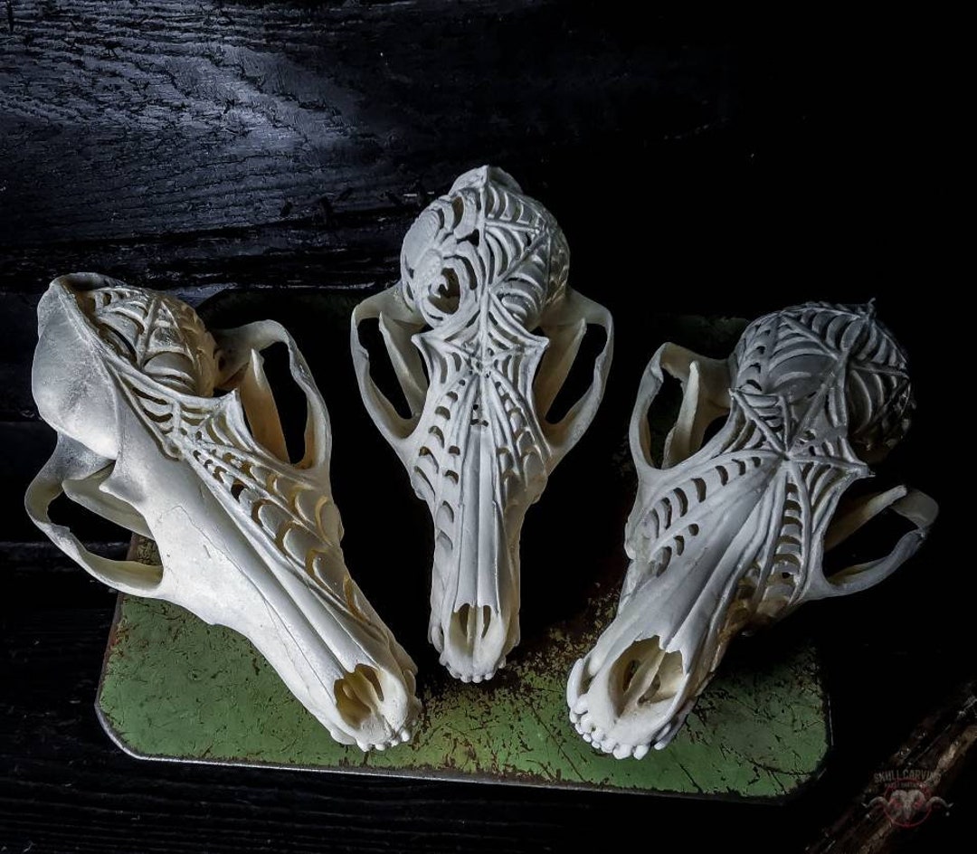 MADE TO ORDER Real Fox Skull With Hand Engraved Design Spiders Web Art ...